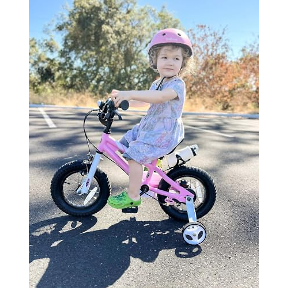 Royalbaby Freestyle 2 Handle Brakes Kids Bike Girls 14 Inch Childrens Bicycle with Training Wheels for Toddlers Beginners Age 3-5 Years, Pink