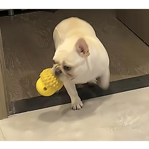 PiPiCat Dog Treat Dispenser Toy Dog Puzzle Toys Interactive Treat Enrichment Dog Toy Stimulating Toys Acorn Shaped with Leakage Holes