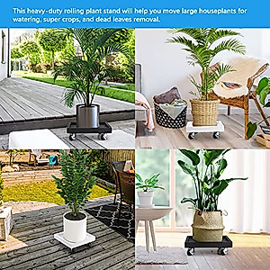 CAPRIZ Squares Plant Caddy with Wheels, 7.9 in Plastic Plant Stand with Lockable Wheels, Heavy Duty Rolling Plant Dolly Base, Large Potted Planter Cart Dolly for Flower Pot Outdoor Indoor