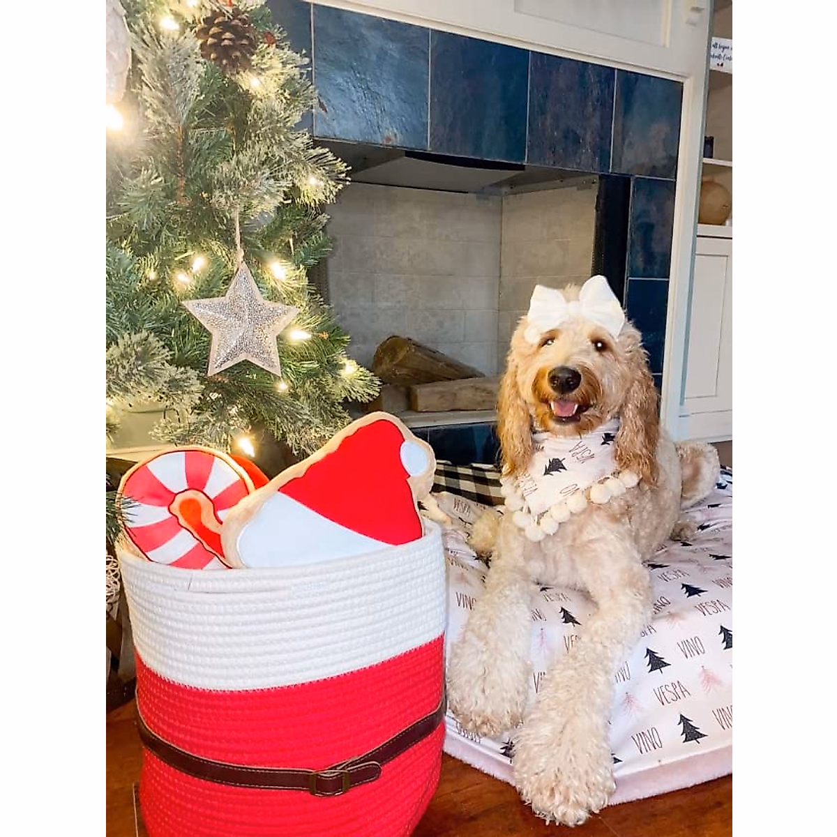 Christmas Santa Rope Basket (Small)