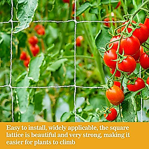 Sukh 2 Pcs Garden Plant Trellis Netting - 5 x 15 ft Trellis Net Polyester Trellis Netting Garden Square Mesh Netting for Climbing Plants Outdoor, Fruits, Vegetables, Vines, Grow Tents