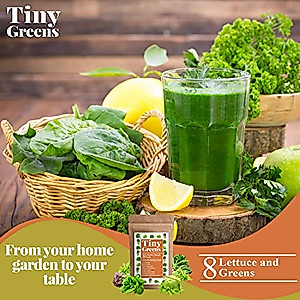 8 Heirloom Lettuce Seeds for Planting Indoors | 1200+ Non-GMO Leafy Greens Seed: Romaine Iceberg Butter Lettuce Seeds, Kale Spinach Arugula Seeds | Seeds for Hydroponic Garden Indoor Microgreens