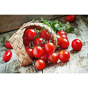 Dwarf Bush Cherry Tomato Seeds for Planting - 100+ Seeds - Amazing Taste - Great for Salads - Made in USA. Ships from Iowa. Dwarf Fruit Seeds