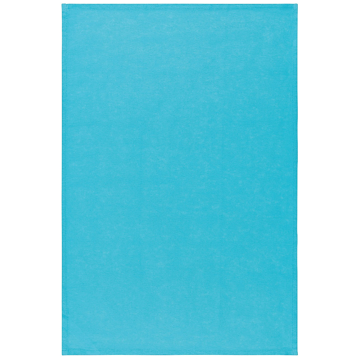 Now Designs Floursack Kitchen Dish Towels Blue, 20 x 30in, Set of 3, Bali Cactus Crush, 3 Count