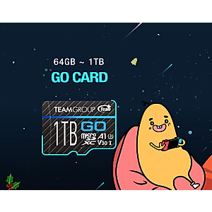 TEAMGROUP GO Card 256GB x 5 PACK Micro SDXC UHS-I U3 V30 4K for GoPro & Drone & Action Cameras High Speed Flash Memory Card with Adapter for Outdoor Sports, 4K Shooting, Nintendo-Switch TGUSDX256GU363