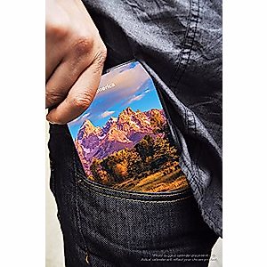 Horse Lovers 2022 3.5 x 6.5 Inch Two Year Monthly Pocket Planner, Animals Equestrian