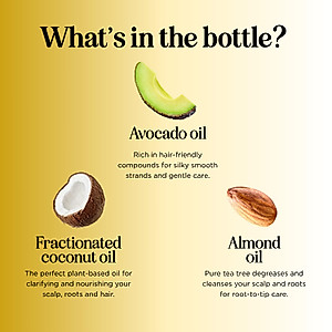 Pure Carrier Oils for Essential Oils - DIY Skin Care Set with Hair Oils Skin Oils for Body Care Moisturizers for Face and Body plus Nail Care - Anti Aging Skin Care DIY Beauty Products Carrier Oil Set