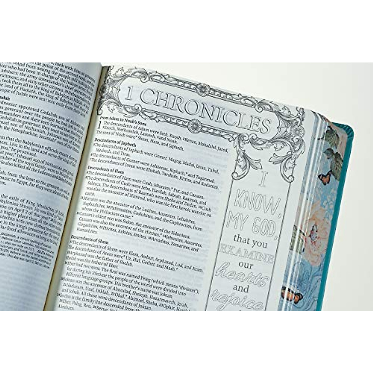 Tyndale NLT Inspire Bible (Hardcover, Aquamarine): Journaling Bible with Over 400 Illustrations to Color, Coloring Bible with Creative Journal Space - Religious Gift that Inspires Connection with God