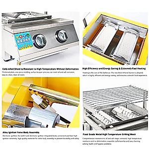 Stainless Steel Burner Gas BBQ for Outside Garden Grill BBQ with Fat Catcher, Tabletop Gas Grill Stainless Steel Two-Burner BBQ with Updated Knobs, Perfect for Camping, Picnics or Any Outdoor,Silver