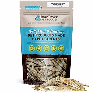 Raw Paws Pet Freeze Dried Minnows for Dogs & Cats, 2-oz - USA Fish Dog Treats - All Natural, Single Ingredient Minnow Cat Treats - Raw Freeze Dried Dog Snacks - Grain Free Cat Reward