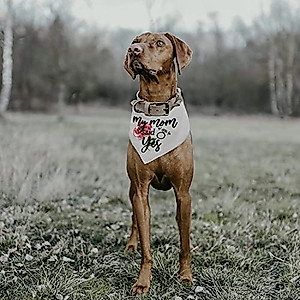 Family Kitchen Mom Said Yes Funny White Cotton Triangle Wedding Pet Dog Bandana, Dog Engagement Wedding Announcement Photo Props Accessories for Pet Dog Lovers Gifts