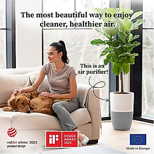 Dupray Bloom™ Air Purifier for Large Rooms with Planter or Custom Accent Table Design | For Home, Bedroom, Office, Dust, Pets | H13 HEPA Air Filtration (Planter, Cloudy Gray)