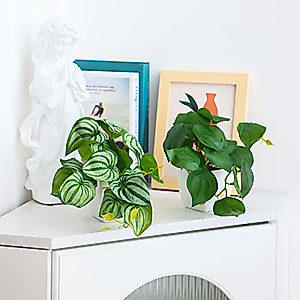 CEWOR Fake Plants 2 Packs Artificial Plants Small Plants Artificial Decor for Home Bedroom Aesthetic Living Room Bathroom Farmhouse Decor Indoor