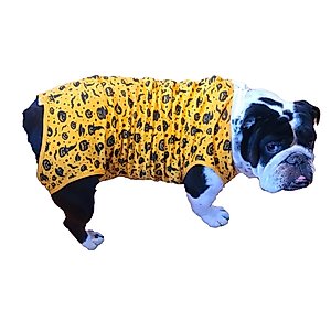 Mairbero Dog Surgery Recovery Suit Female/Male - Onesies for Dogs After Surgery Spay Surgical,Recovery Suit for Dogs Cats After Surgery,Substitute E-Collar & Cone Prevent Halloween
