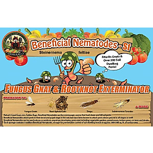 Beneficial Nematodes Steinernema feltiae SF - Biological Fungas Gnat Control (250 Million)