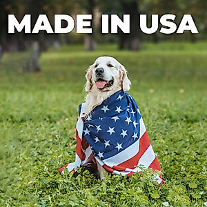 Forticept Dog Ear Infection Treatment, Dog Ear Cleaner, Itch Relief Cat and Dog Ear Wash Flush 8 oz