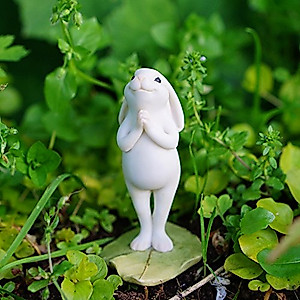 Top Collection Miniature Fairy Garden & Terrarium Yoga Bunny in Standing Namaste Pose Statue, Small