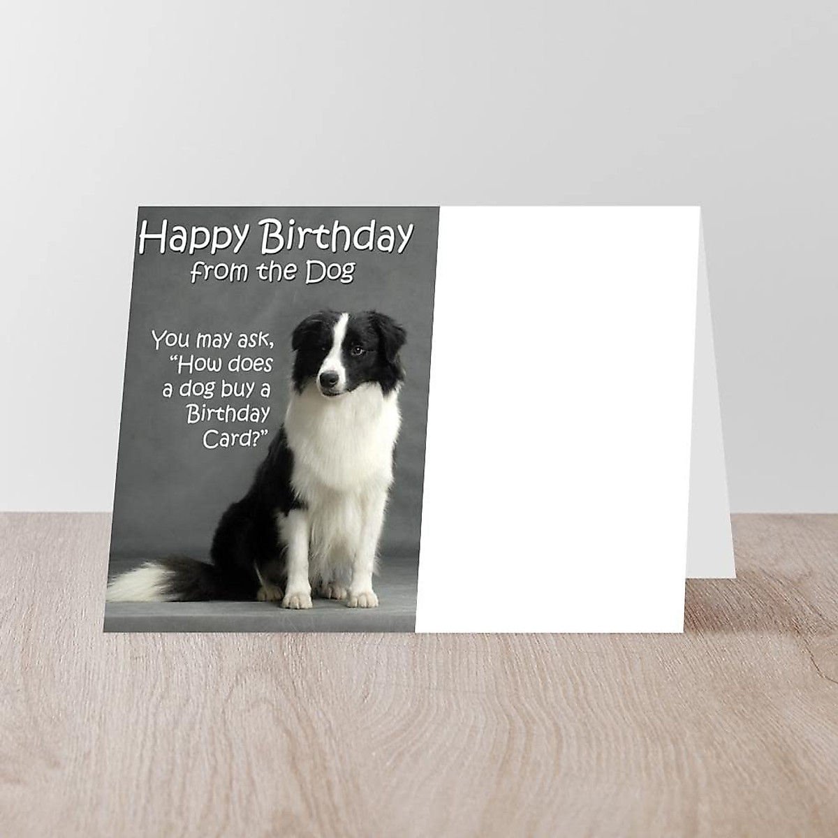 CafePress Border Collie Birthday Card Folded Greeting Card Matte