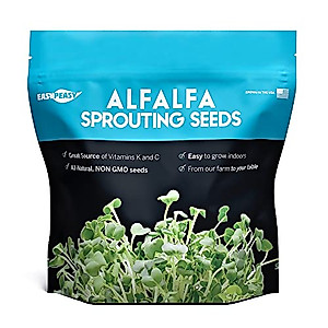 Alfalfa Sprouting Seed | Non GMO | Grown in USA | from Our Farm to Your Door (1 Pound (16oz))