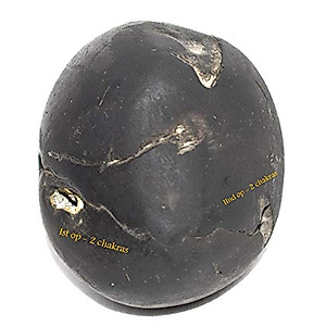 Rudrakshguru Janardhana Shaligram - Gandaki River Nepal
