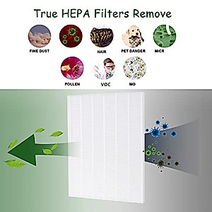 115115 Size 21 Replacement Filter A Compatible with Winix C535 C909, Winix PlasmaWave 5300, 6300, 5300-2, 6300-2, P300 Plasma wave Air Purifier, True HEPA Filter Only 3 Pack