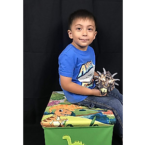 Toy Chest for Boys, Storage Bins for Toys, Toy Box for Boys, Kids Toy Storage Bins, Sturdy & Foldable, Removable Divider, Dinosaur Storage Containers for Playroom, Bedroom, Home, Dinosaur Pattern
