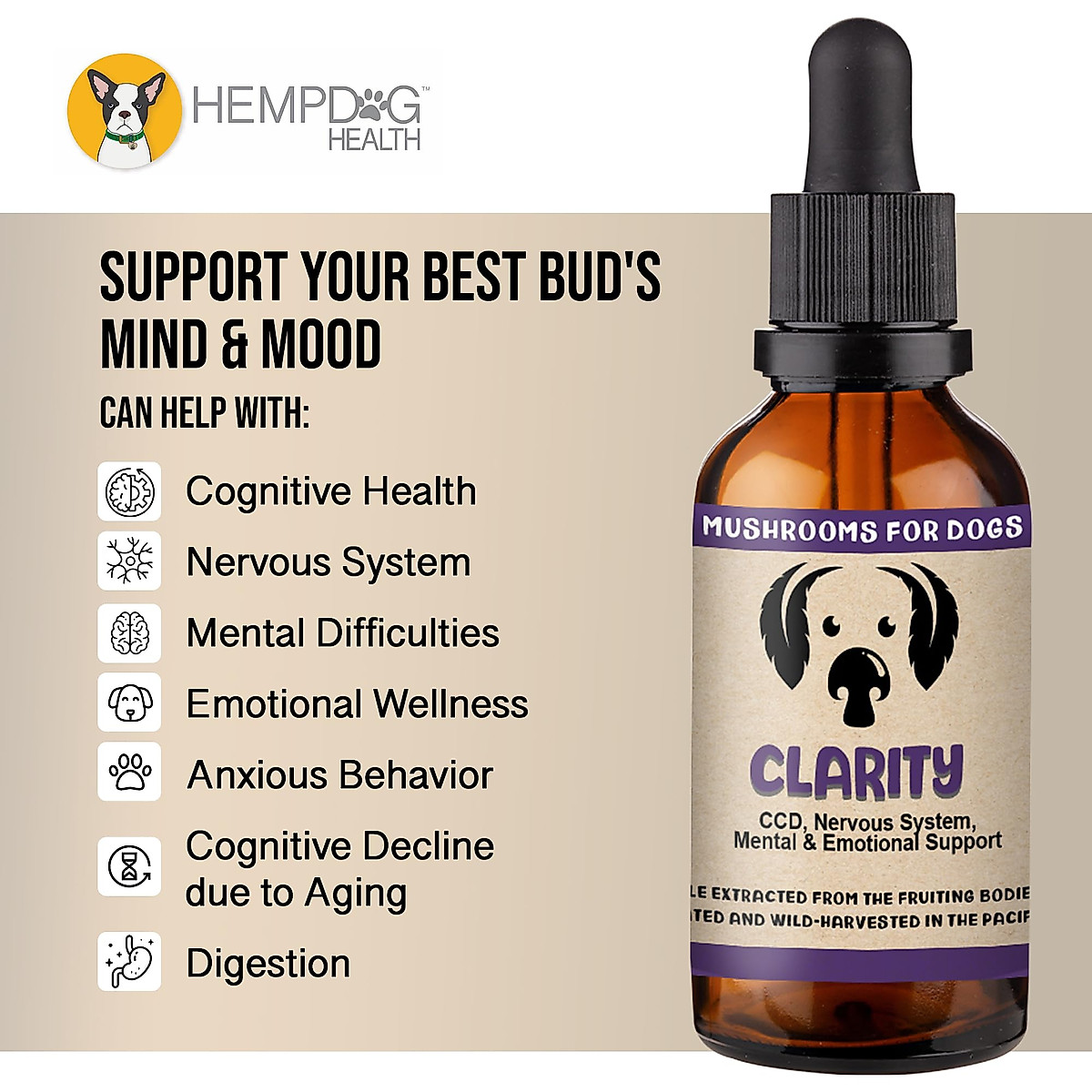 MycoDog Clarity Mushroom Extract & Adaptogen Tincture for Canines - Mushroom & Ashwagandha Supplements for Nervous, Mental, & Emotional Support - Reishi Mushroom, Cordyceps, & Lions Mane Supplement
