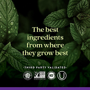 New Chapter Women's Multivitamin 50 plus for Cellular Energy, Heart & Immune Support with 20+ Nutrients + Astaxanthin - Every Woman's One Daily 55+, Gentle on The Stomach, 72 Count