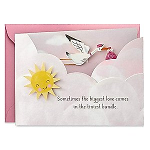 Hallmark Paper Wonder Paper Craft Baby Shower Card for Baby Girl (Stork), 4 X 5.5 Inches (499RZW1028)