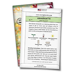 Sow Right Seeds - Red Garnet Amaranth Seeds for Planting - Non-GMO Heirloom Packet with Instructions to Plant & Grow an Outdoor Home Vegetable Garden - Colorful, Pretty & Unique - Makes a Great Gift