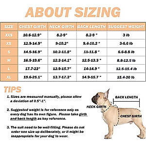 Dog’s Recovery Suit Post Surgery Shirt for Puppy, Full Coverage Dog's Bodysuit Wound Protective Surgical Clothes for Small and Medium Pets (Green Black Stripe-m)