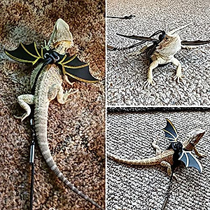 ADOGGYGO Bearded Dragon Lizard Leash Harness - Adjustable Cool Leather Wing Lizard Reptile Harness Leash for Bearded Dragon Lizard Reptiles (Black)