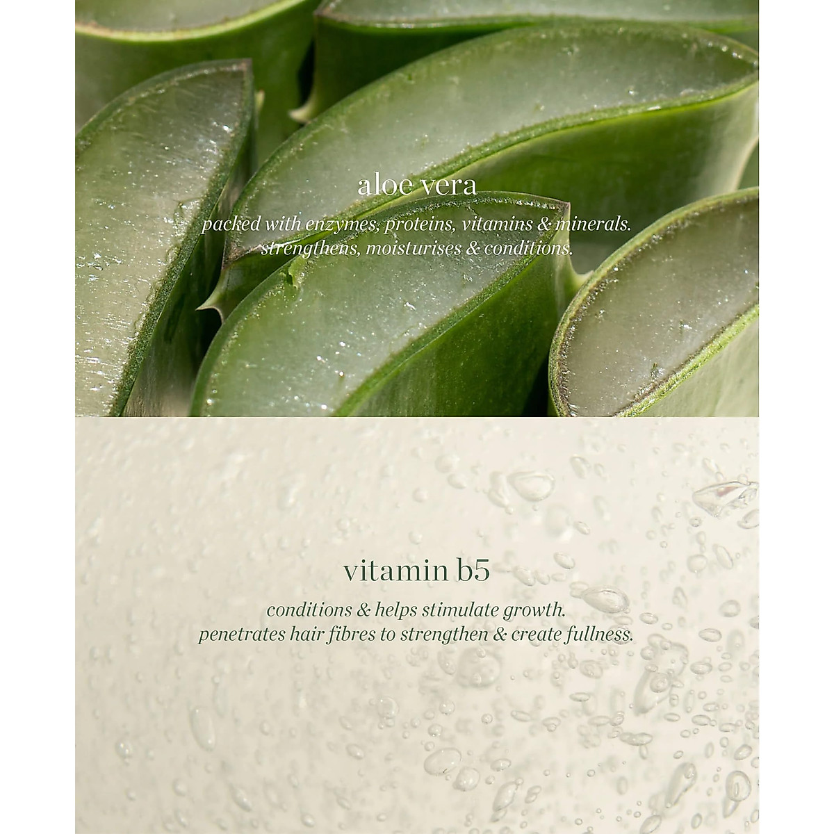 Ere Perez - Natural Aloe Gel Lash + Brow Mascara | Vegan, Cruelty-Free, Clean Beauty (Clear, 0.35 oz | 10 ml)