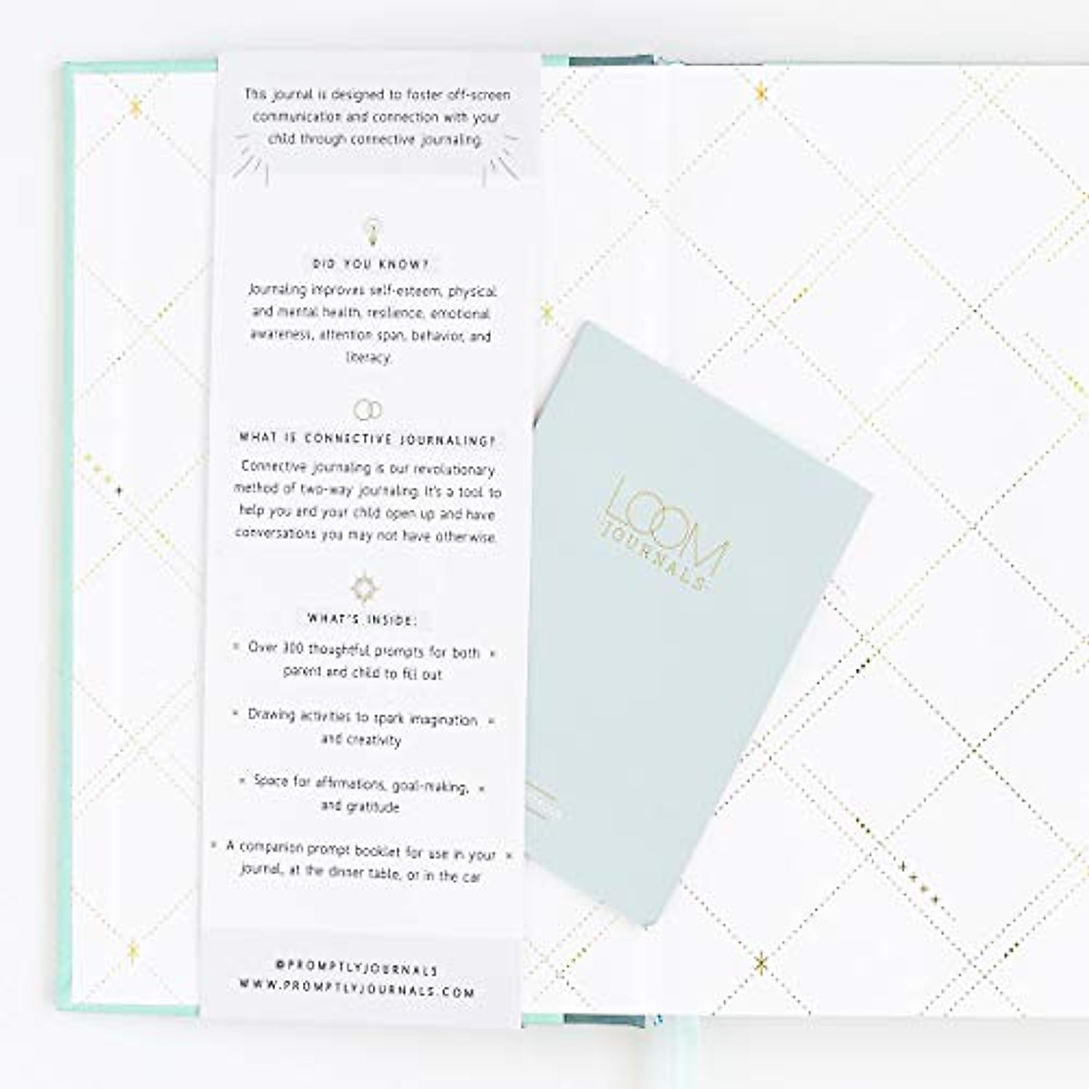 Promptly Journals, A Parent and Child Connection Journal (Dusty Blue) - Prompted Journal for Parent-Child Connection, Parent and Child Journal, Quality Time Gifts