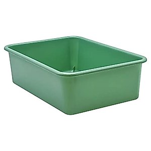 Teacher Created Resources® Eucalyptus Green Large Plastic Storage Bin