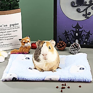 Jetec 2 Pieces Guinea Pig Bed Rabbit Bed Small Animal Hamster Warm Mats Winter Warm for Bunny Hamster Squirrel Hedgehog Chinchilla Small Animal Accessories(Green, Blue,Bear Pattern)