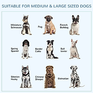 PawHut 43" Heavy Duty Dog Crate Metal Cage Kennel with Lockable Wheels, Double Door and Removable Tray, Gray