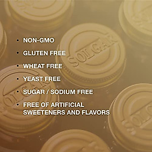 Solgar B-Complex "100" - 100 Vegetable Capsules, Pack of 2 - Energy Metabolism, Cardiovascular Health, Nervous System Support - Non-GMO, Vegan, Gluten Free - 200 Total Servings