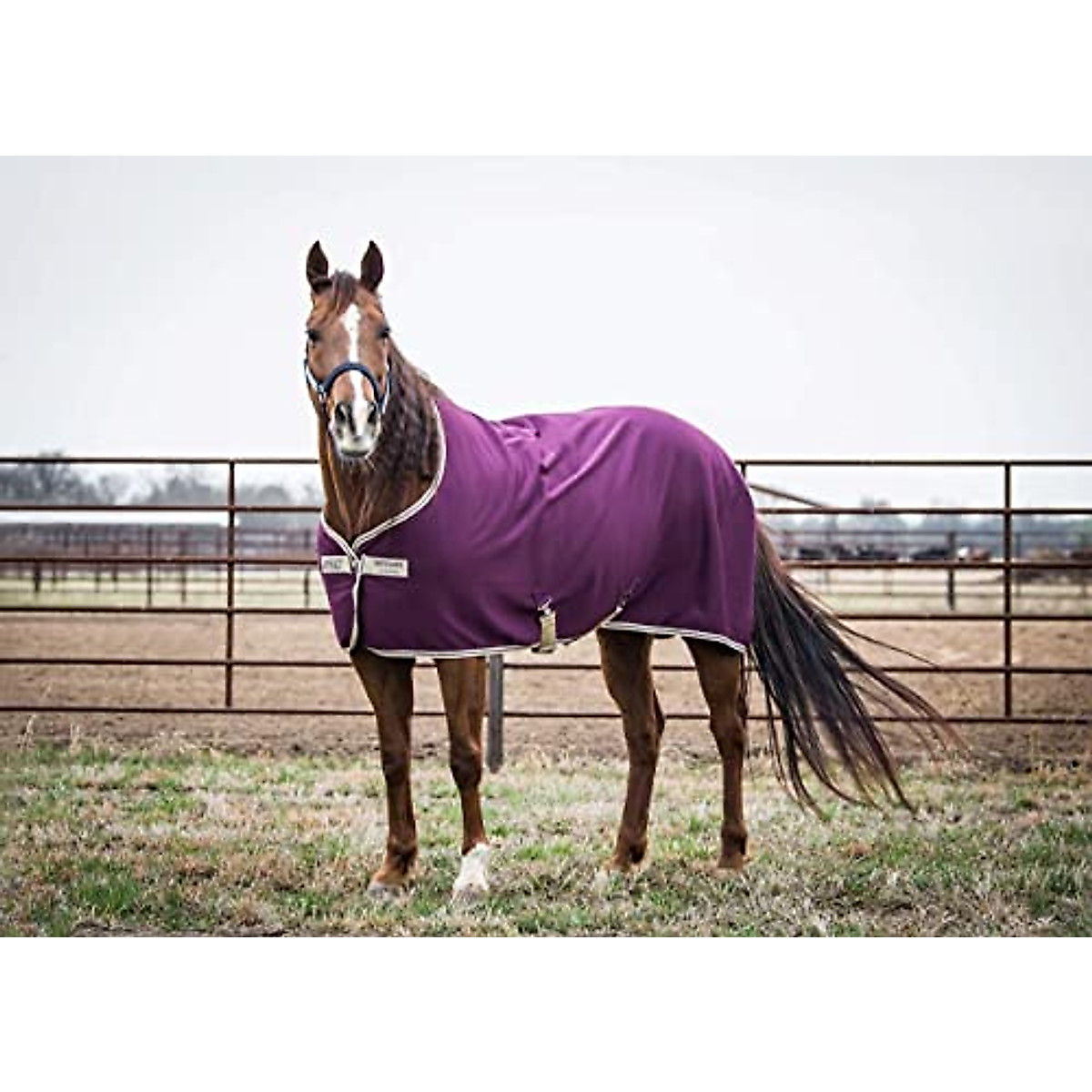 AMIGO Jersey Cooler 66 Navy/Silver