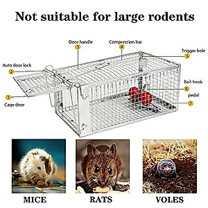 2 Pack Humane Rat Traps, Live Small Mouse Traps Catch and Release for Indoor Outdoor, Small Animals Traps, Easy to use, Pet Safe Medium Size ( 10.6"x 5.5"x 4.5" )