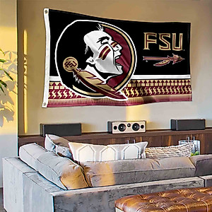College Flags & Banners Co. Florida State FSU Noles 3x5 Banner Flag