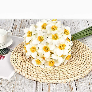 Mossyard 2 Bunches 12 Heads Artificial Daffodils, 15.8 Inches Long Stem Blossom Silk Sun Flowers for Home Wedding Office Party Garden Decor, Floral Arrangements, Table Centerpieces, Yellow