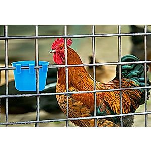 ORIBUKI Pack of 20 Chicken Feeder Cups for Cage Hanging Bird Waterer 8 OZ Rabbit Water Food Bowl Pigeon Feeding Dishes Bunny Poultry Coop Drinker Quail Seed Treats Dispenser Duck Drinking Bottle