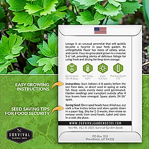 Survival Garden Seeds - Lovage Seed for Planting - Packet with Instructions to Plant and Grow Perennial Levisticum Officinale Culinary Herb in Your Home Vegetable Garden - Non-GMO Heirloom Variety