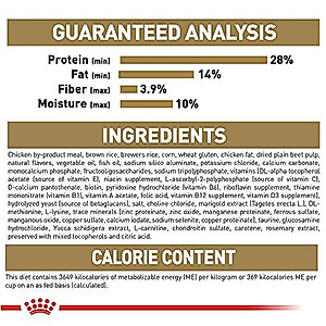 Royal Canin Breed Health Nutrition Dachshund Puppy Dry Dog Food, 2.5 lb