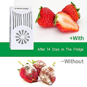 CANAGER Refrigerator Deodorizer, Freezer Odor Eliminator,Better Than Baking Soda-(Green,1 Pack)