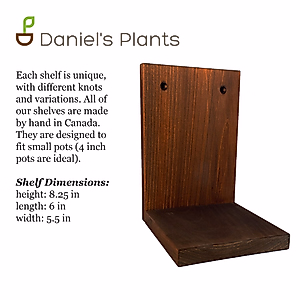 Daniel's Plants Indoor Plant Wall Gallery Shelf Kit | Midcentury Modern Wooden Shelves | Wall Mounted Plant Shelf | L Shaped Floating Shelves | Solid Wood Wall Planter Shelf | 3 Pack (Woodland Brown)
