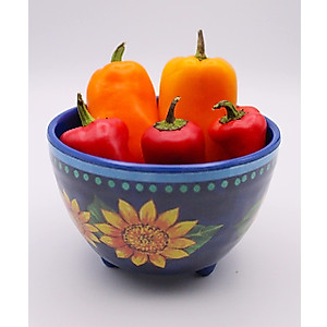 Chips and Salsa Chip Dip Bowl Set - Spanish 2 Piece Small Bowl Set Painted Blue Dishes with Sunflowers - Serving Bowls for Party and Fiestas (2)