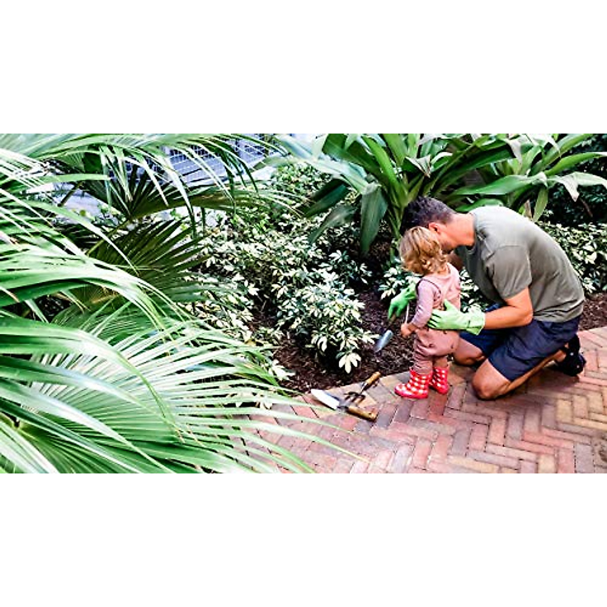 IF YOU CARE Medium Cotton Flock Lined Household Gloves, 1 Count