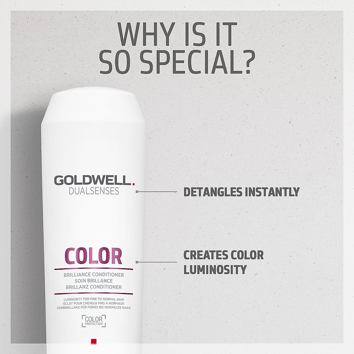 Goldwell Dualsenses Color Brilliance Conditioner, 10.1 Fl Oz (Pack of 1)